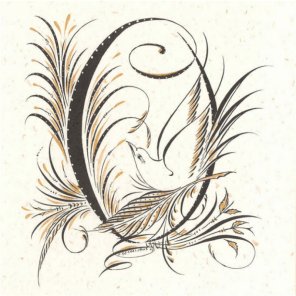 The Letter “O” | The Romantic Vineyard