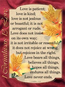 Love is Not Rude | The Romantic Vineyard