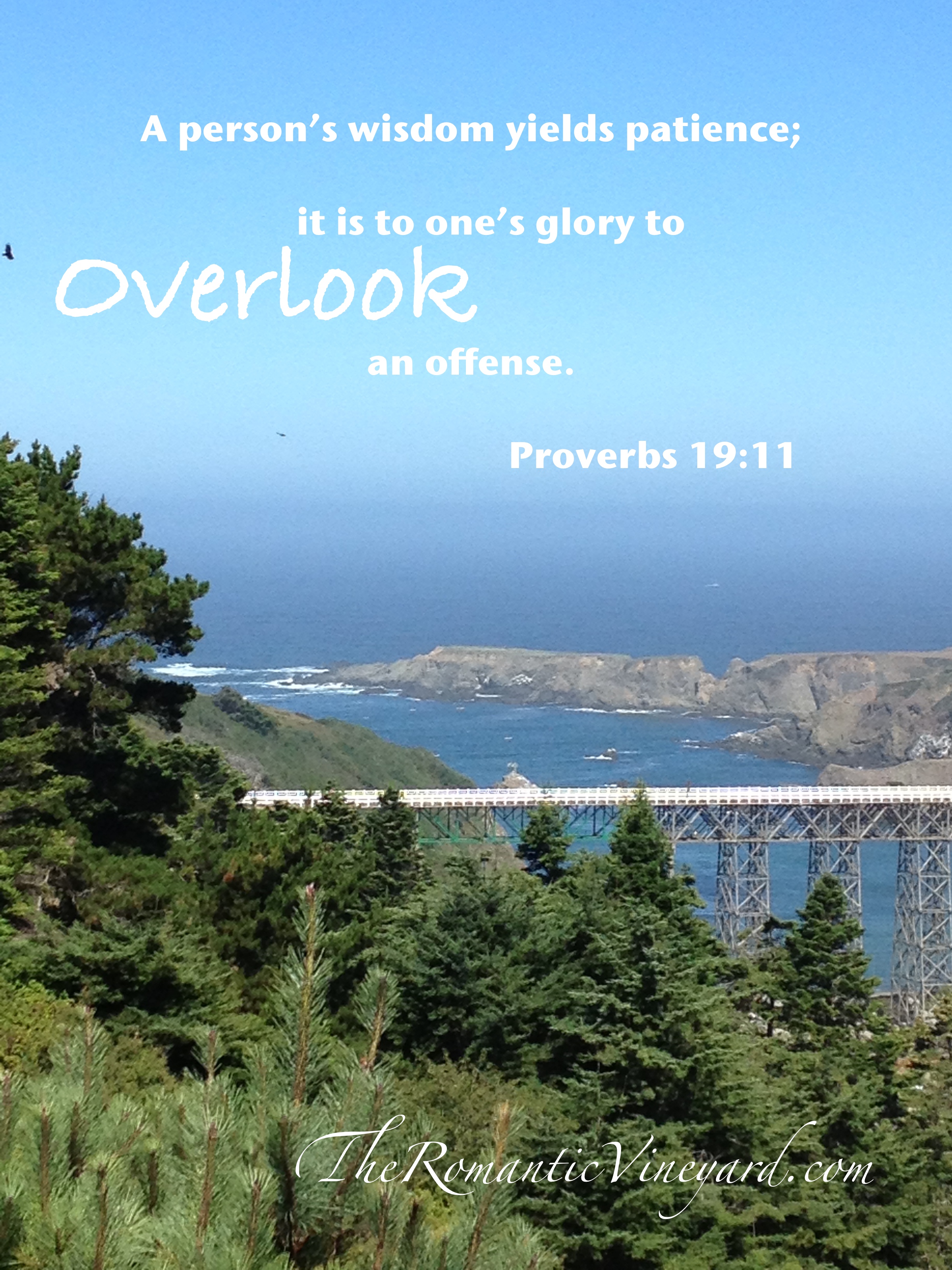 Overlook Ahead | The Romantic Vineyard