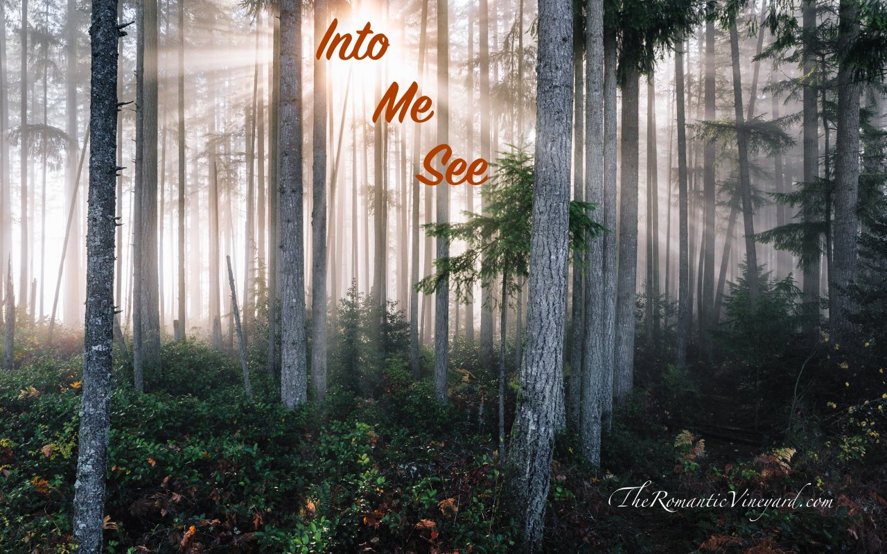 In To Me See – An Invitation Reserved For One | The Romantic Vineyard