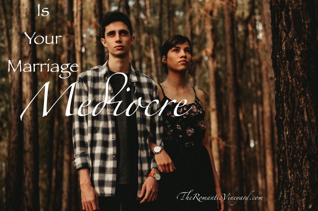11 Possible Indicators You Have A Mediocre Marriage | The Romantic Vineyard