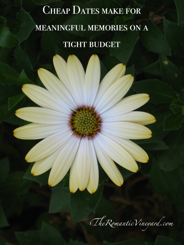 Vintage Post – 8 Cheap Dates On A Tight Budget | The Romantic Vineyard