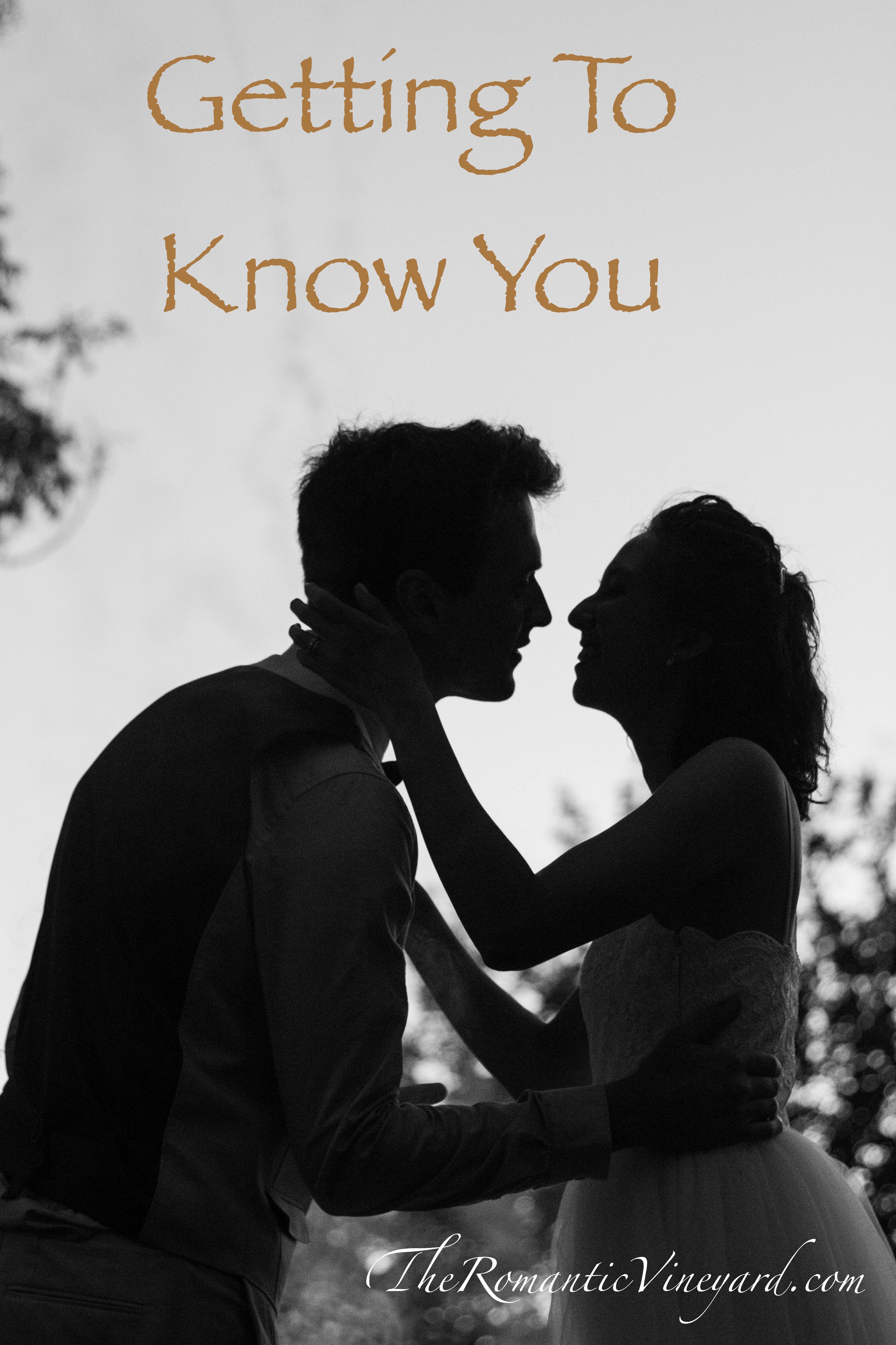 Getting To Know You | The Romantic Vineyard