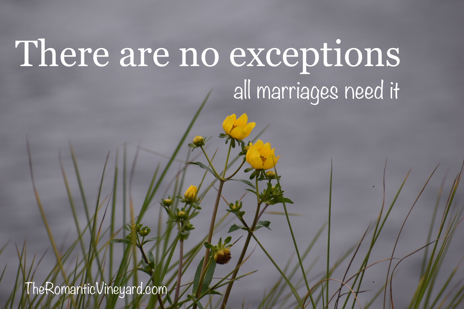 One Key To Growing Strong Marriages | The Romantic Vineyard