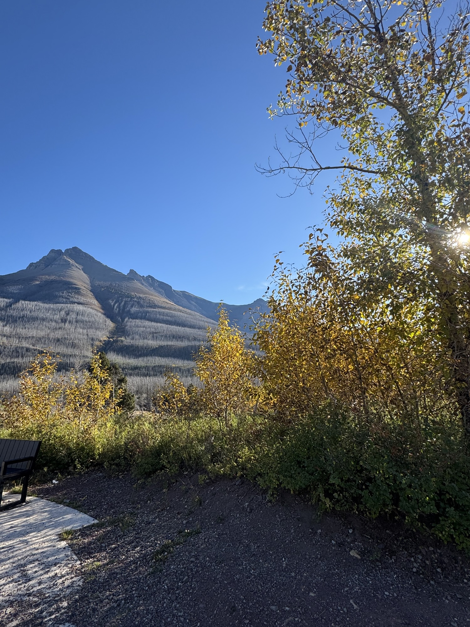 Mood Setters | The Romantic Vineyard